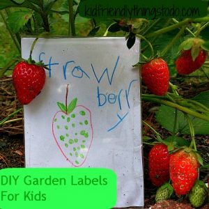 DIY Garden Labels for Kid's