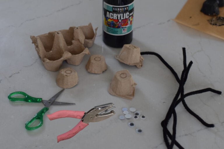 Egg Carton Spider Craft