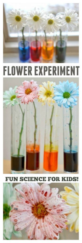 Over 15 Awesome Boredom Buster Science Experiment Ideas to do With the Kids