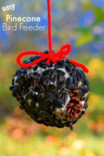 How to Make a Pine Cone Bird Feeder - An Easy Craft Idea for Home