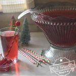 Rudolph Punch {A Christmas Drink for Kids}