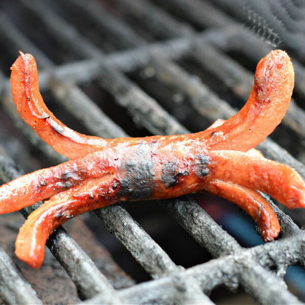 Octopus Hot Dogs - Kid Friendly Things to Do
