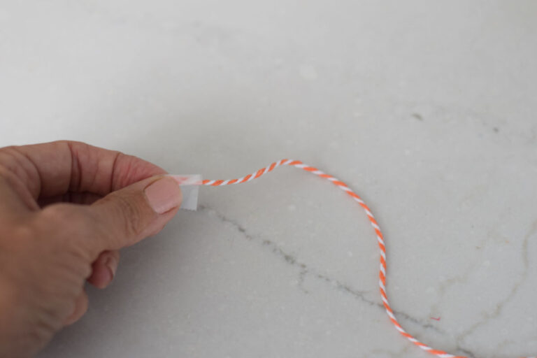 Fruit Loop Friendship Bracelet Craft